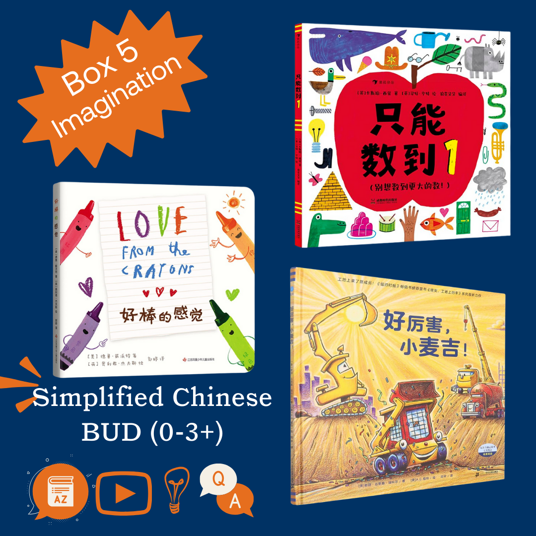 Simplified Chinese Bud Box 5 - Imagination | Curio