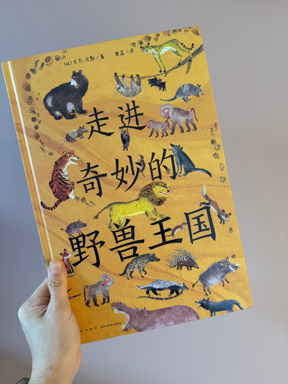 走进奇妙的野兽王国 The Big Book of Beasts | Curio
